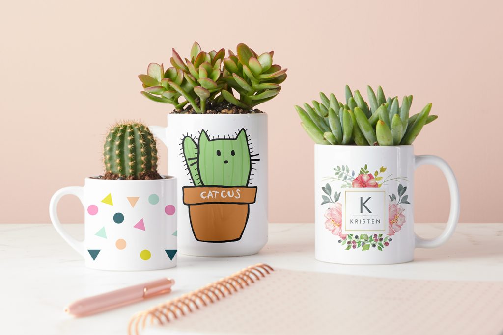 DIY: Succulent Mug Planter | Zazzle Ideas
